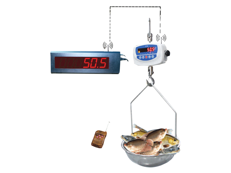 Sonic T18 Crane Scale Dh Scale